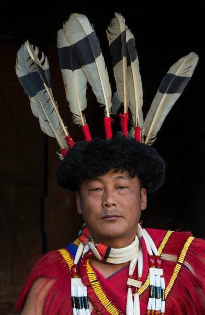 The Majestic Hornbill: A Symbol of Unity and Identity Among the Nagas ...