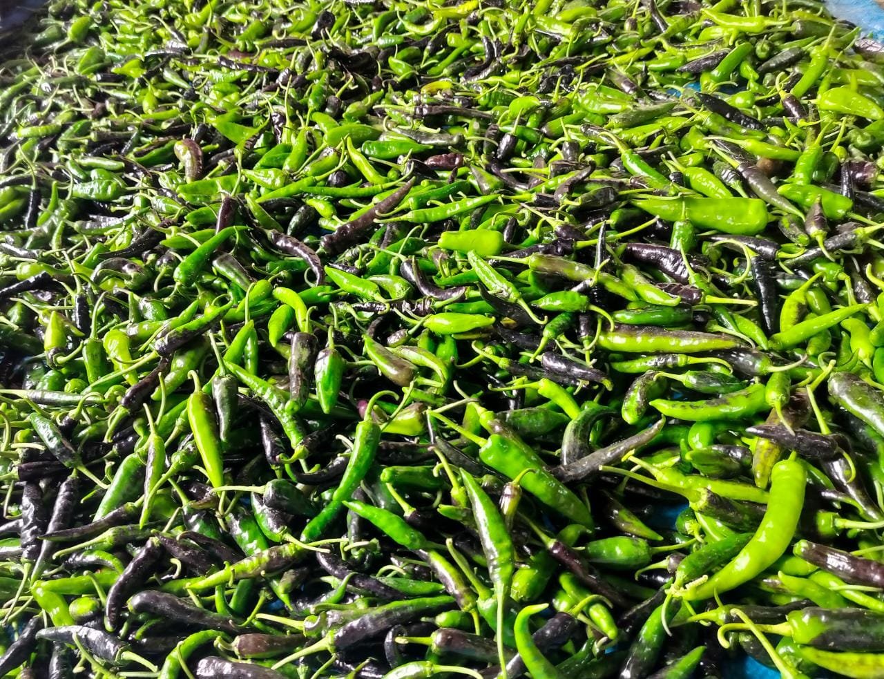 Longsa Village: A cozy Getaway - Nagabusiness