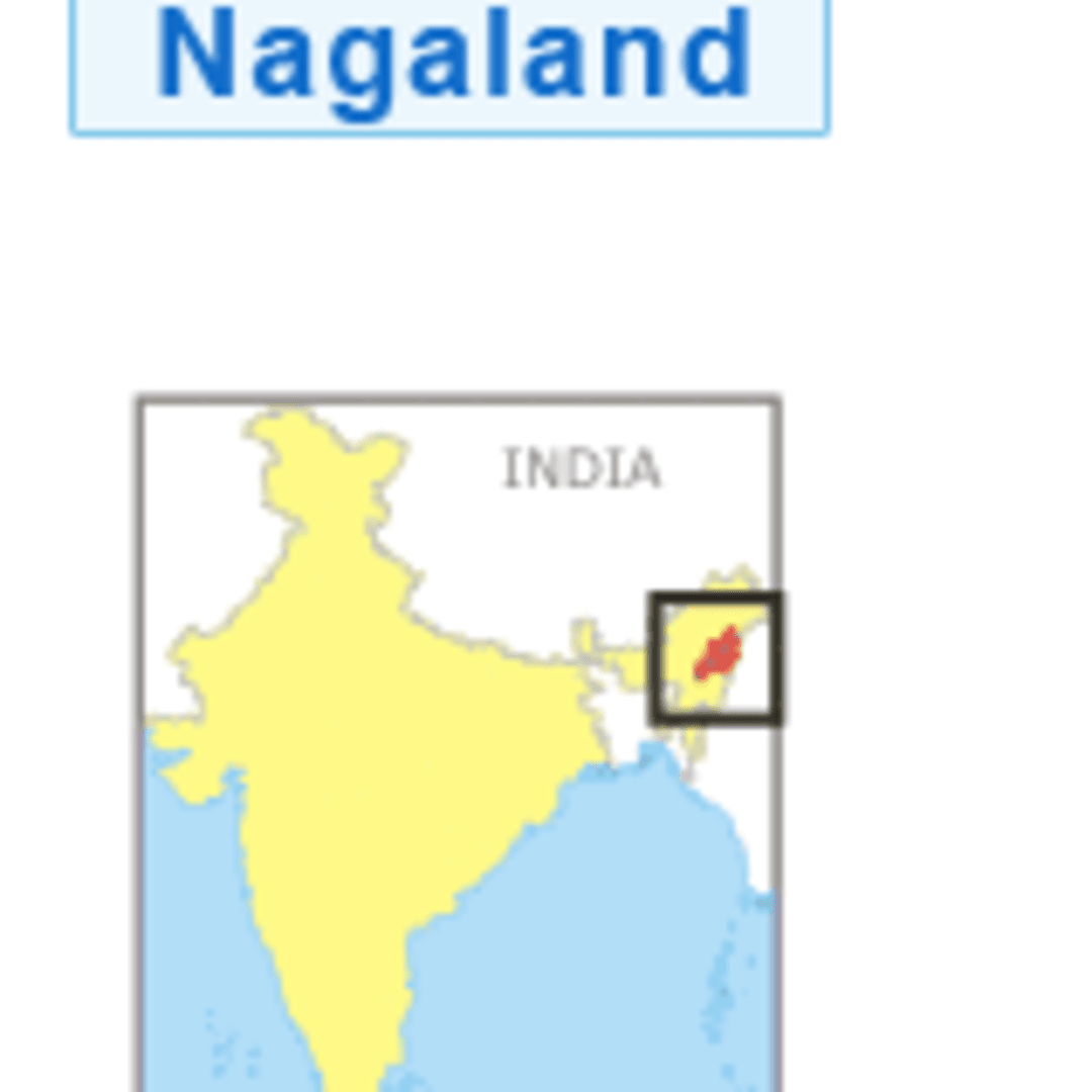 A Journey Through Nagaland's Enigmatic Past - Nagabusiness